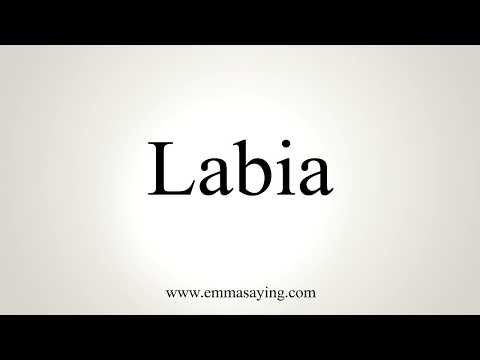 How To Pronounce Labia