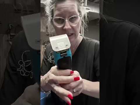 I can Help you Find the Right Dog Grooming Tools