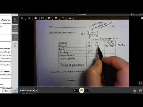 Calculating Simpson's Index to Measure Biodiversity