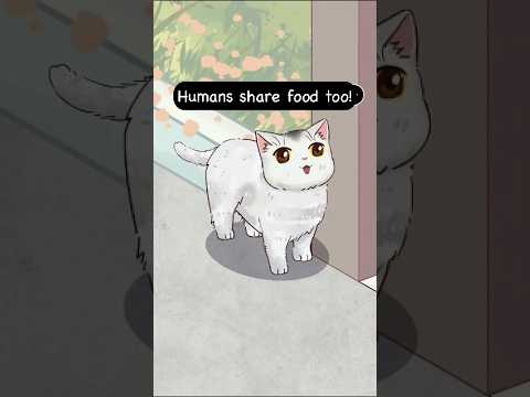 A Polite Cat That Will Melt Your Heart #animation #shorts #cat