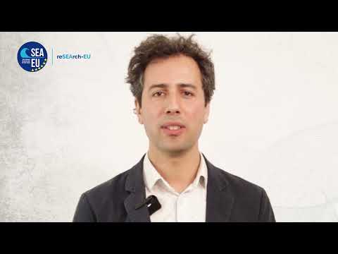 Open Science Videocapsule - University of Western Brittany (UBO)