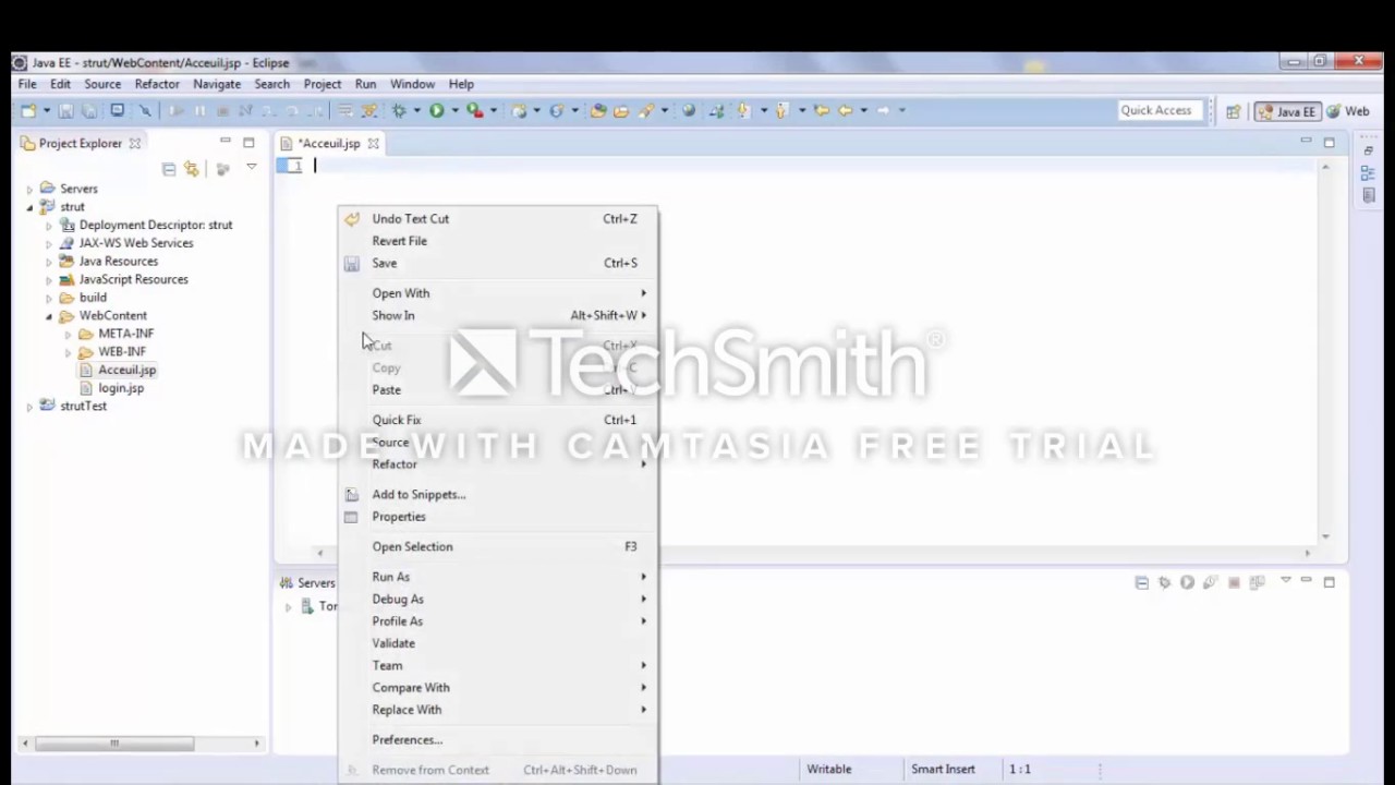 Struts Project on Eclipse