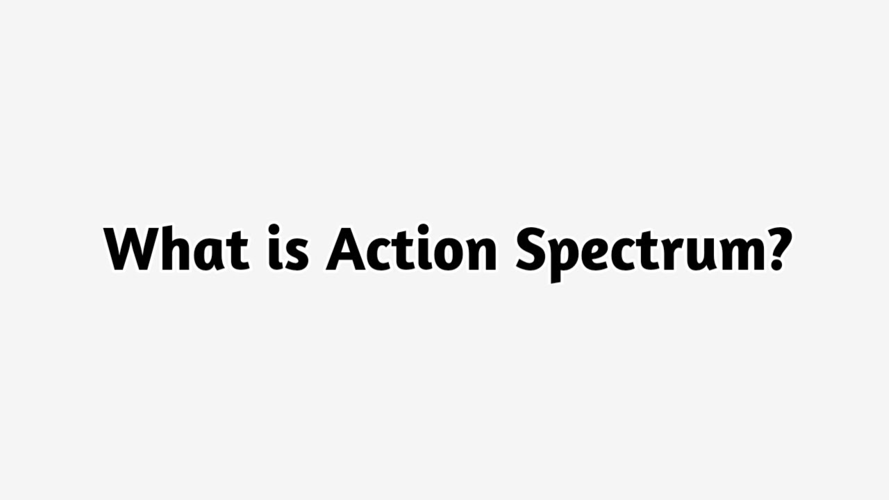What is Action Spectrum ?