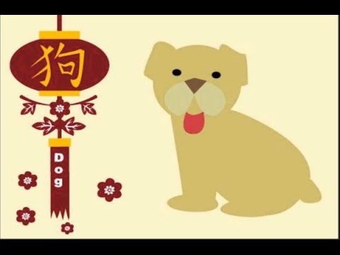 Ramalan Shio Anjing di tahun 2018