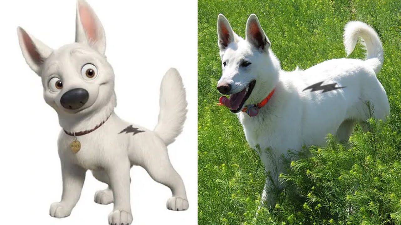 Dog Cartoon Characters In Real Life - Part 1