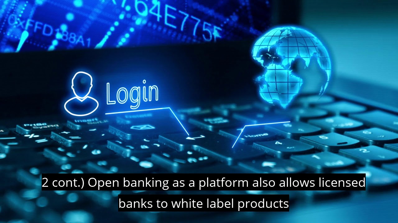 There Are Four Broad Categories of the Payment as a Platform (Paas) Business Models: