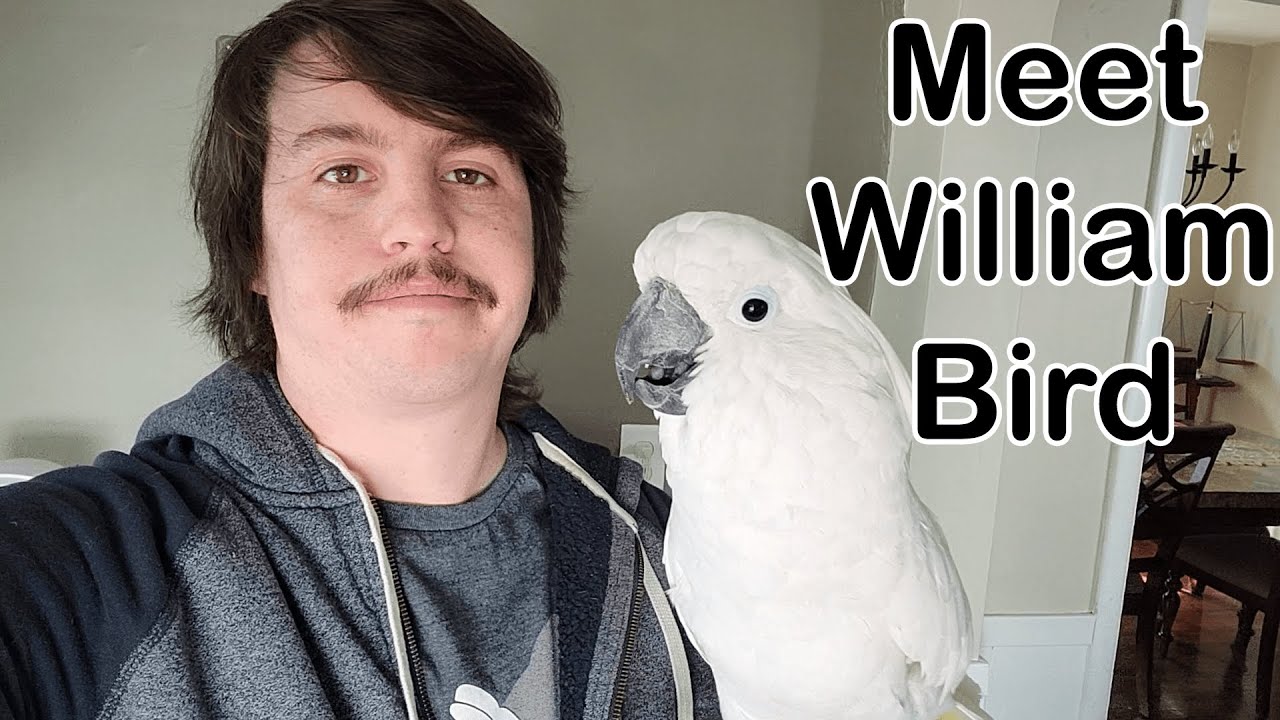 Meet William Bird