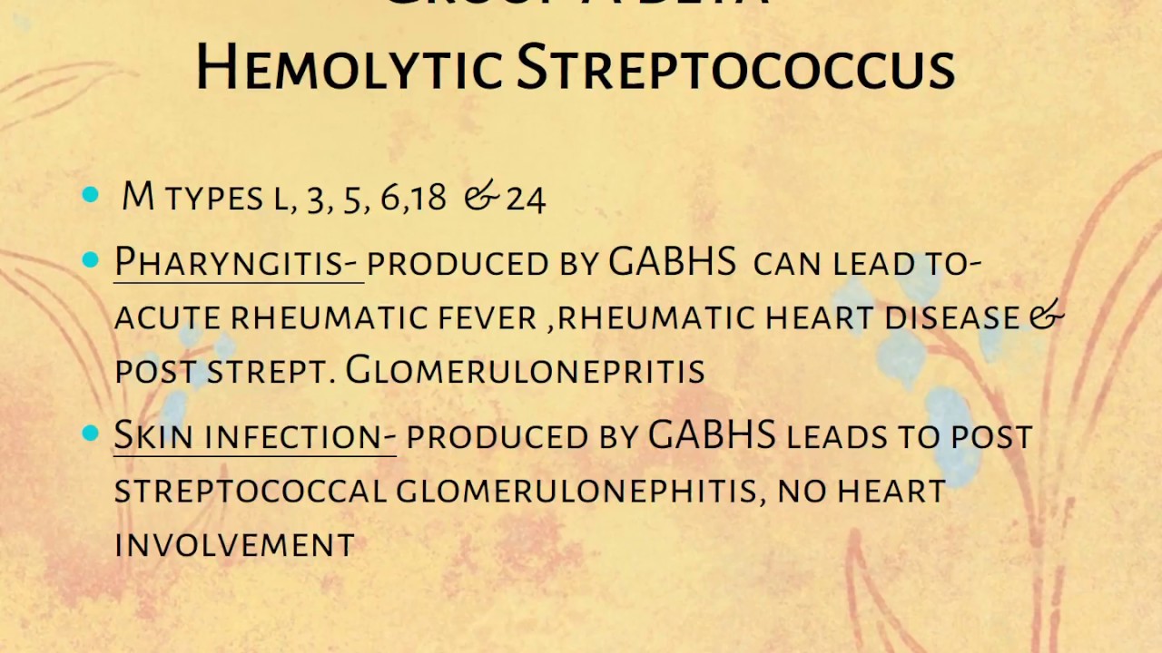 Rheumatic Fever PPT (Slide Presentation)