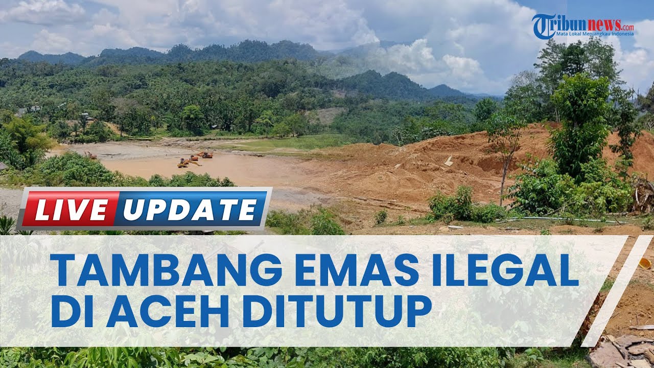 Tambang Emas Ilegal di Aceh Ditutup Paksa Polisi, Khawatir Timbulkan Korban Jiwa & Tanah Longsor ...
