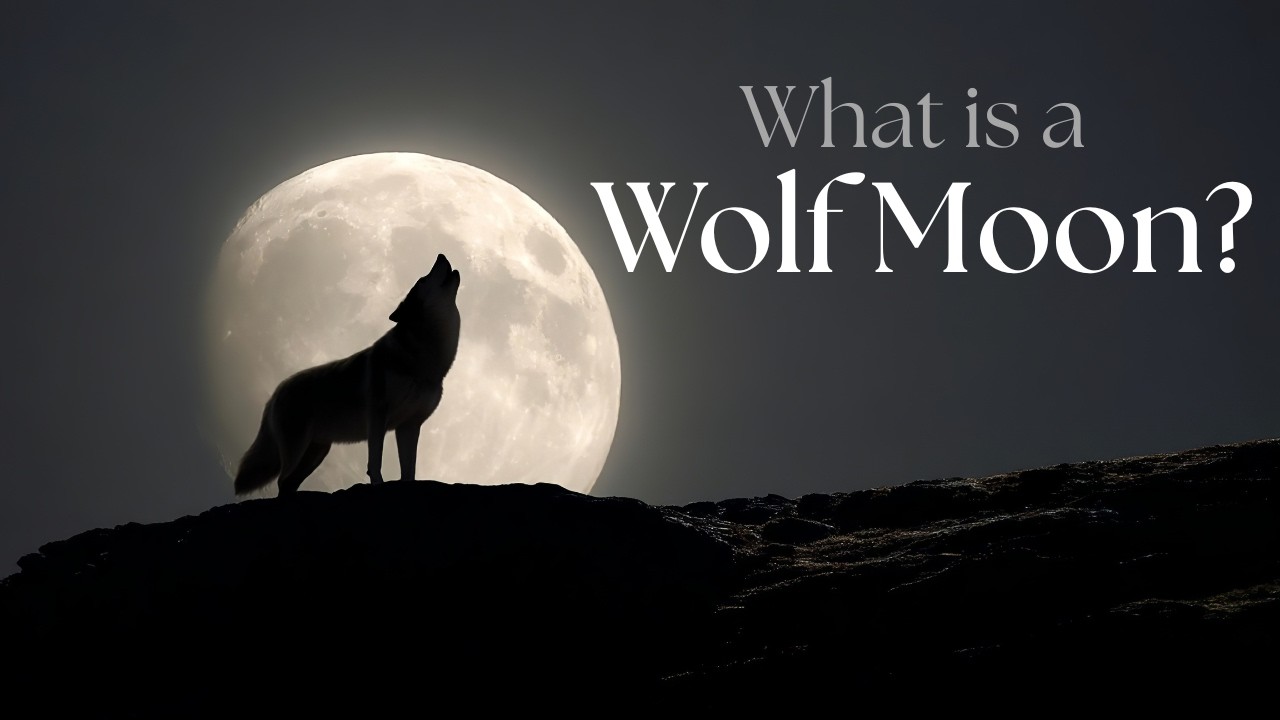 The Wolf Moon: What You Need to Know