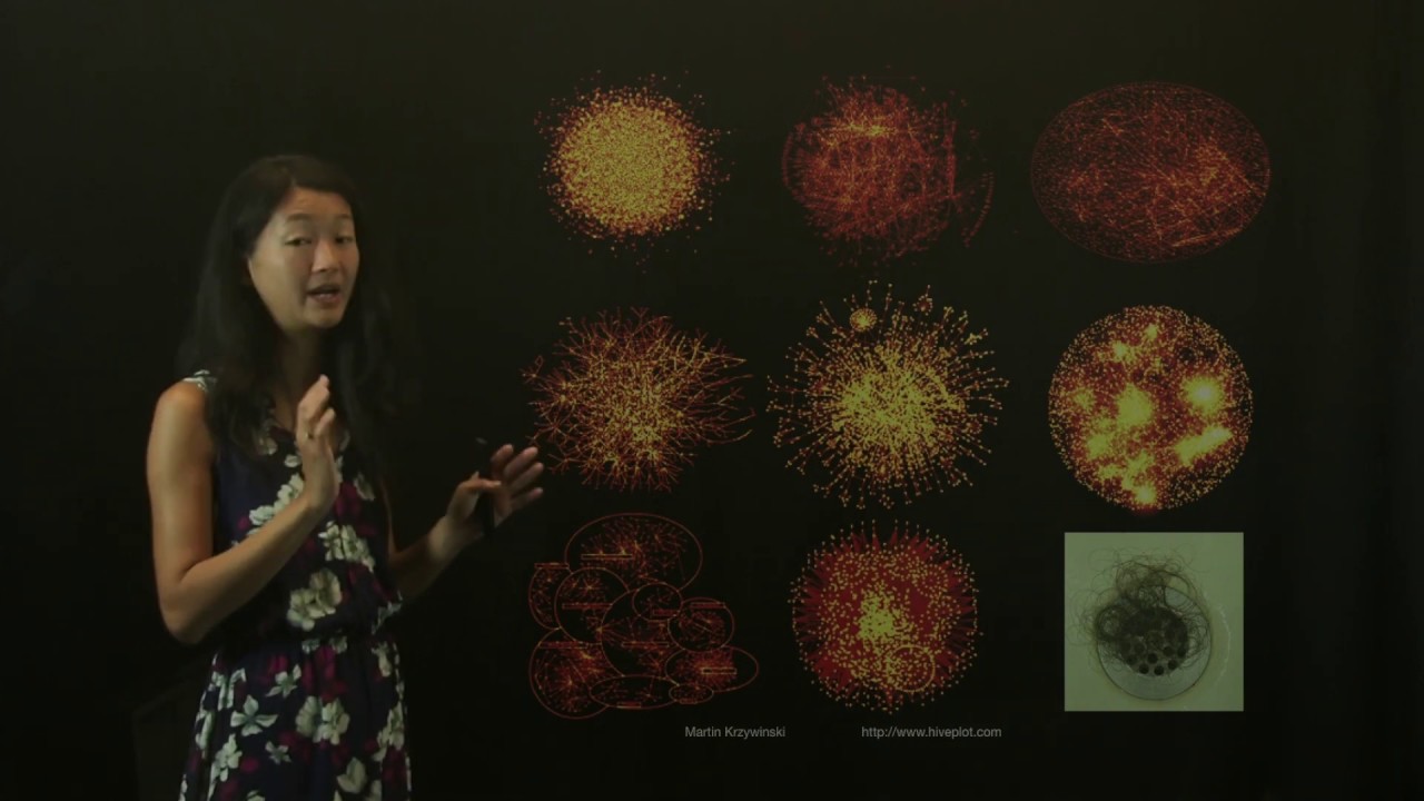 Data Visualization: Buyer Beware