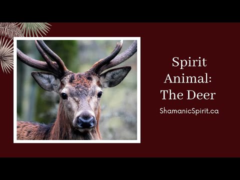 Animal Spirit Guide: The Deer (Shamanic Power Animal). Deer Symbolism