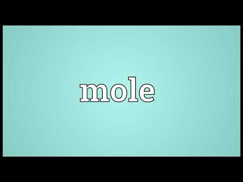 mole meaning in English