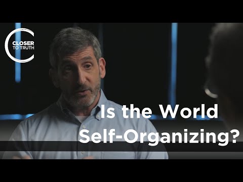Neal Theise - Is the World Self-Organizing?