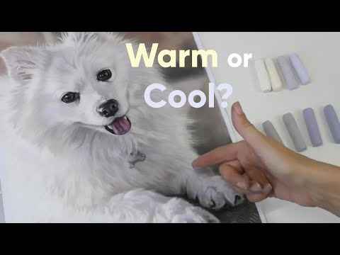 Warm and Cool Colours: How to Tell the Difference