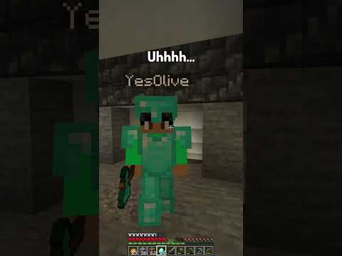 Types of Bases on a Minecraft Server