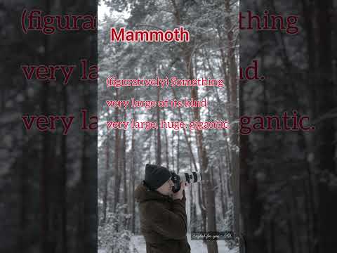 Mammoth meaning || vocabulary #foryou #english #education