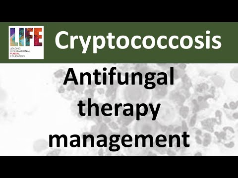 Cryptococcosis: antifungal treatment management