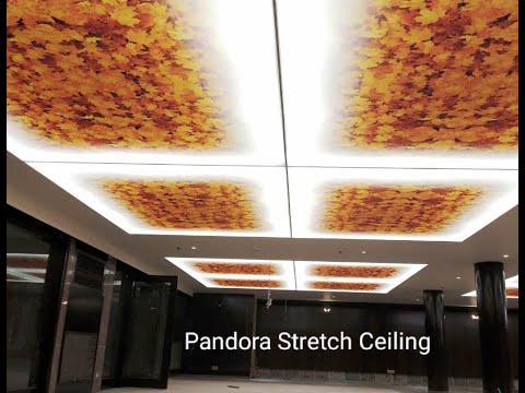 Stretch Ceiling at Best Price in India