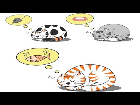 American Sign Language ASL Video Dictionary - dream