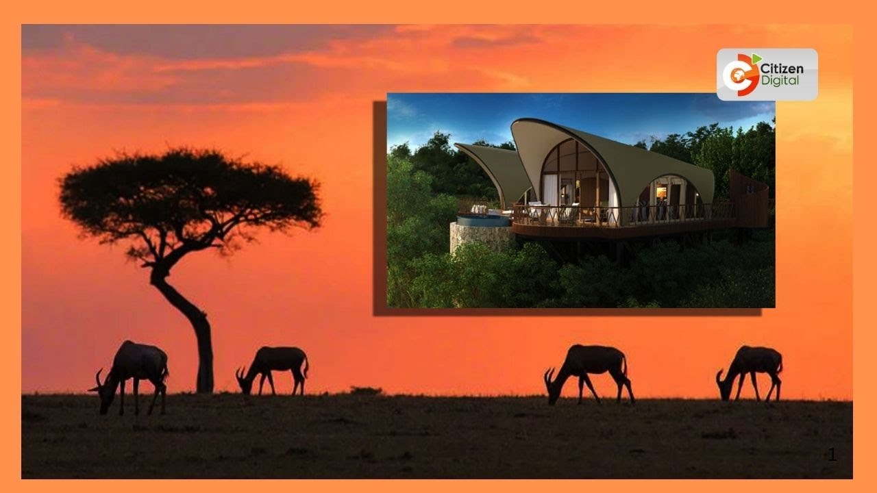 Ritz-Carlton Maasai Mara safari camp faces legal challenge over wildebeest migration corridor