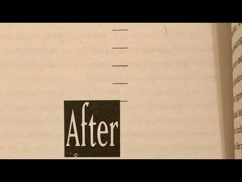 After (Blade Runner 2: The Edge of Human by K.W. Jeter)