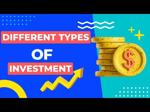 What are the main types of investment vehicles?