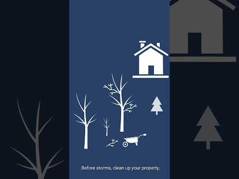Hurricanes: Safety Tips