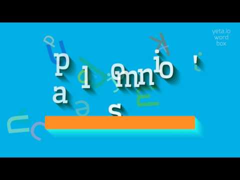 How to say "palomino's"! (High Quality Voices)