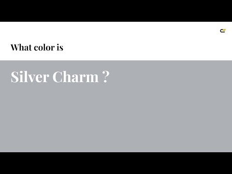 Silver Charm color #adb0b4 hex color - Blue color - Warm color adb0b4