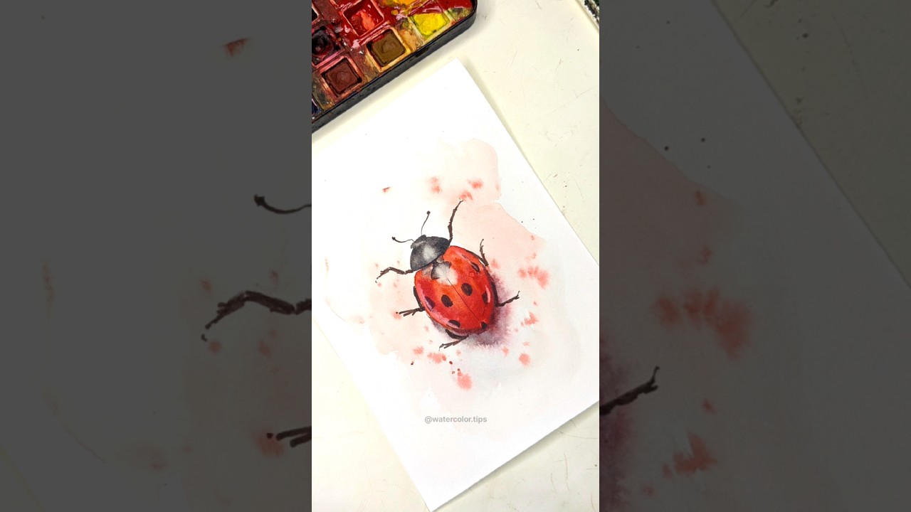 Step-by-step Watercolour Ladybug Tutorial | Watercolor Tips #watercolortutorial #painting #ladybug