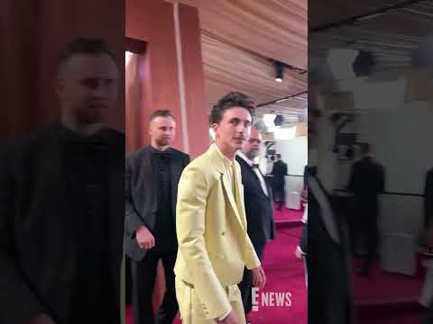 TimothΓ©e Chalamet is giving greatness on the #Oscars carpet. π #AwardsSeason
