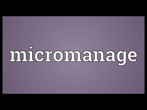 Micromanage Meaning