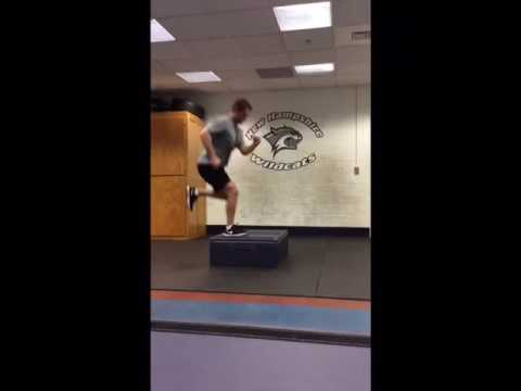 1-Leg Linear Hurdle Hop Progression – Edwards Training Systems