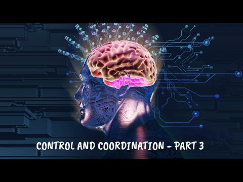 Sense organs and receptors