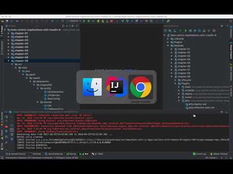 Learn Data Centric Applications with Vaadin 8 | 9 Lazy Loading - Mind Luster