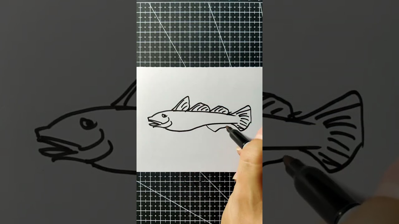 This is My Quick Drawing of Cod Fish
