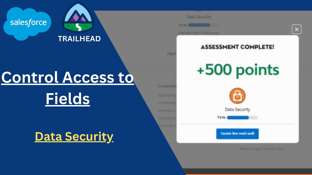 Control Access to Fields | Data Security  | Trailhead / Salesforce