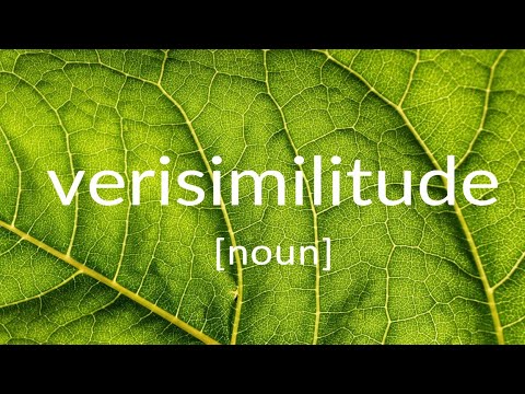 verisimilitude