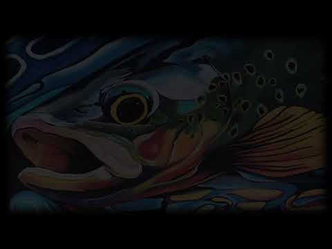 Radiohead - Weird Fishes/Arpeggi (Sub Español & English Lyrics)