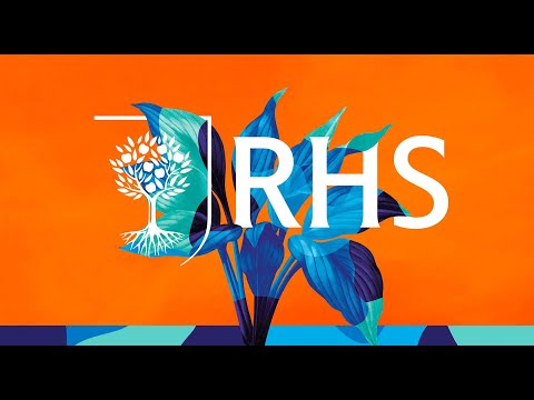 RHS: New Design Capturing The Limitless Wonder Of Growth