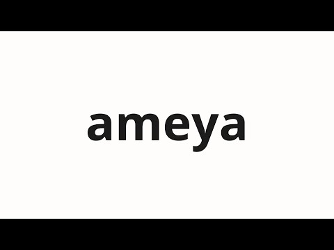 How to pronounce ameya | 飴屋 (Candy shop in Japanese)