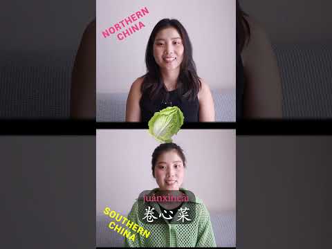 Northern Vs Southern Chinese