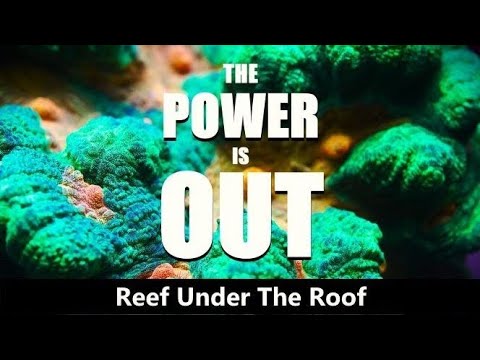 VorTech Battery Back-up Tested on MP10 & MP40 - How Many Hours Does your Reef Tank Have?!