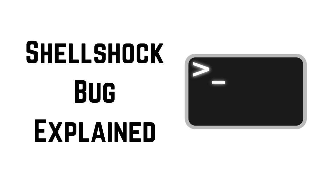 Shellshock Attacks Cyber Security