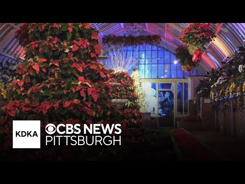 Your guide to Pittsburgh's holiday lights