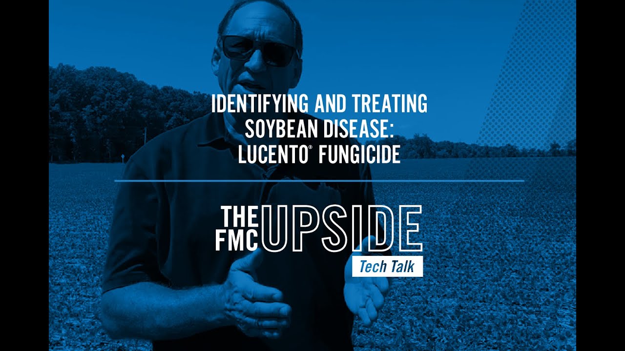Identifying and Treating Soybean Disease: Lucento® Fungicide