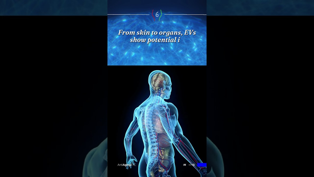 Extracellular Vesicles (EVs) & Their Role in Bio Rejuvenation