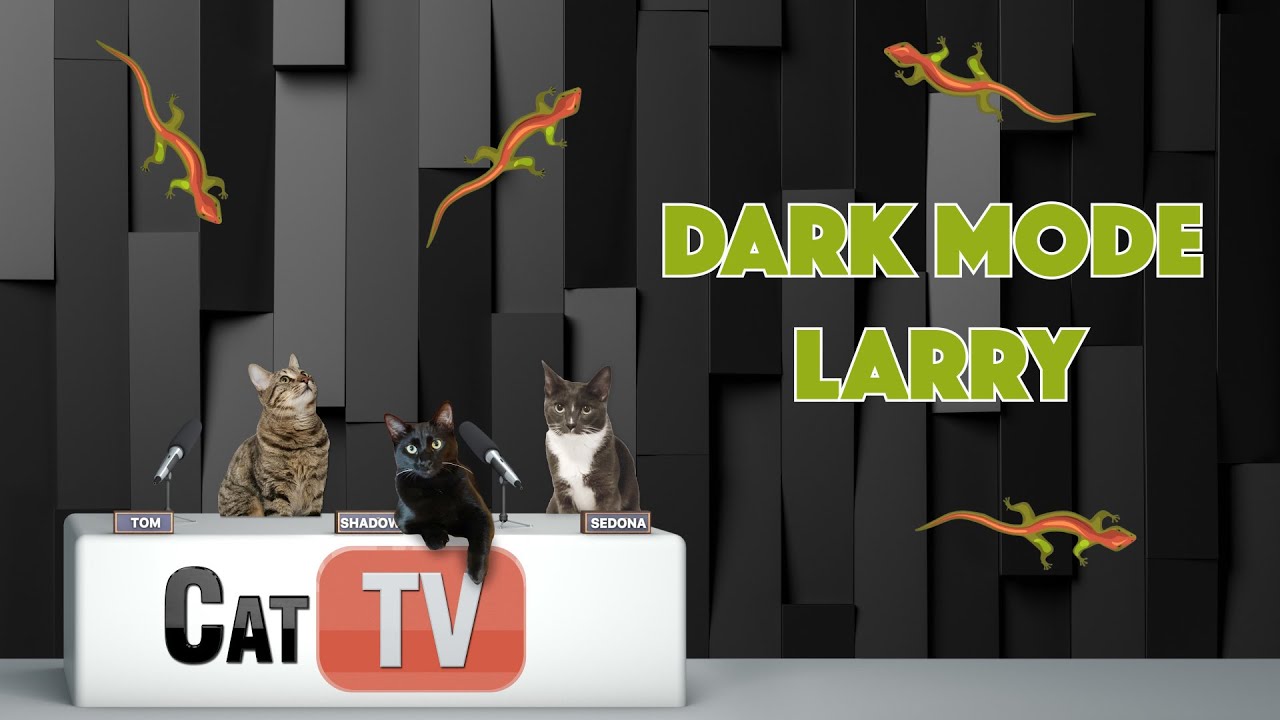 Cat TV | 🦎 Dark Mode Larry: Late-Night Lizard Hunt for Cats | Larry the Lizard