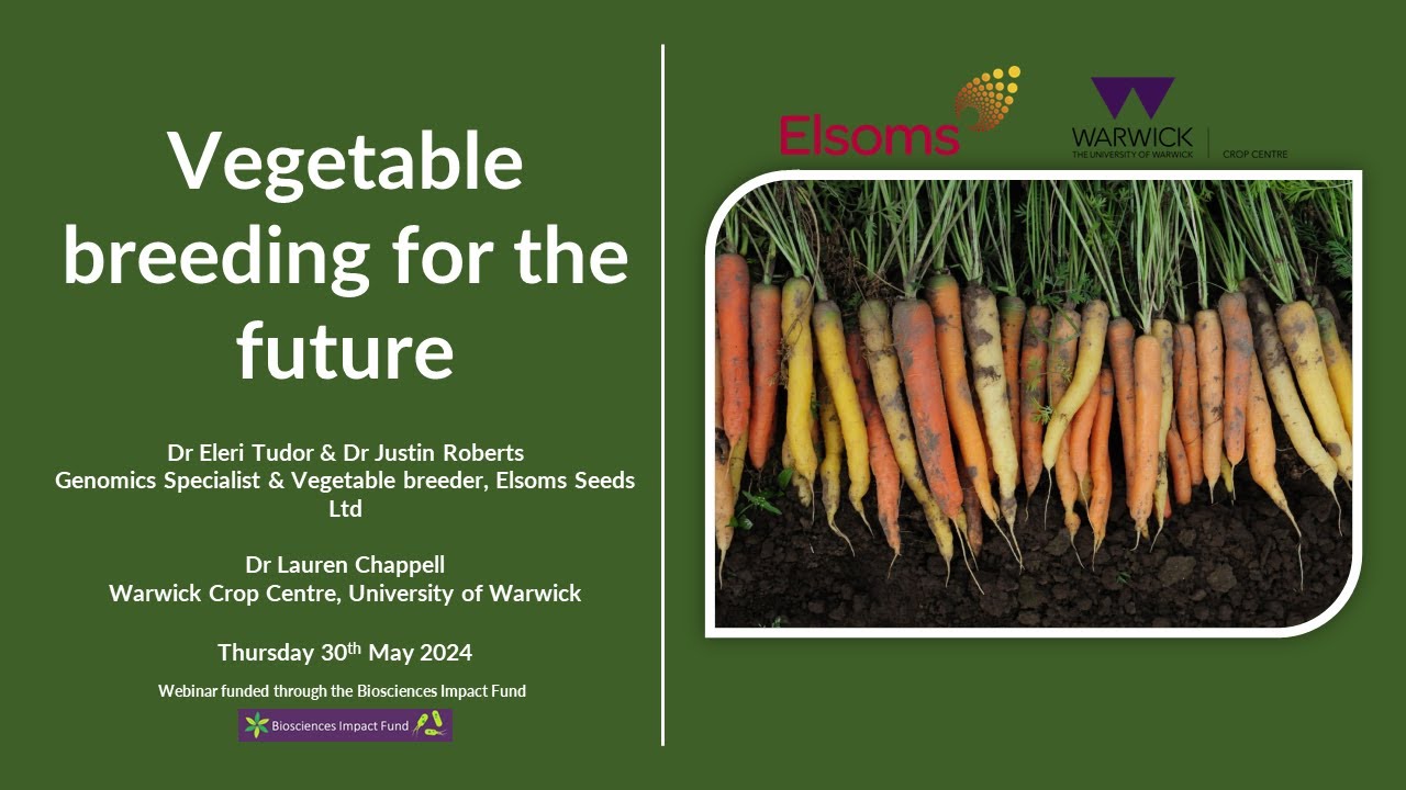 Vegetable breeding for the future